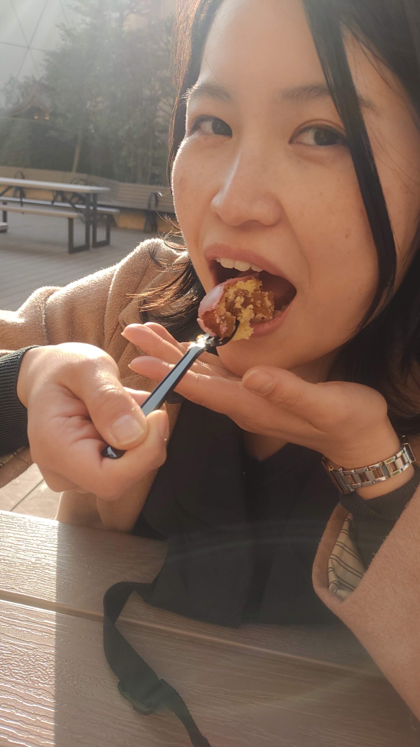 à la ringo(あら、りんご。)のりんごケーキに新しい味 2 種が登場 - ドットコムおおさか